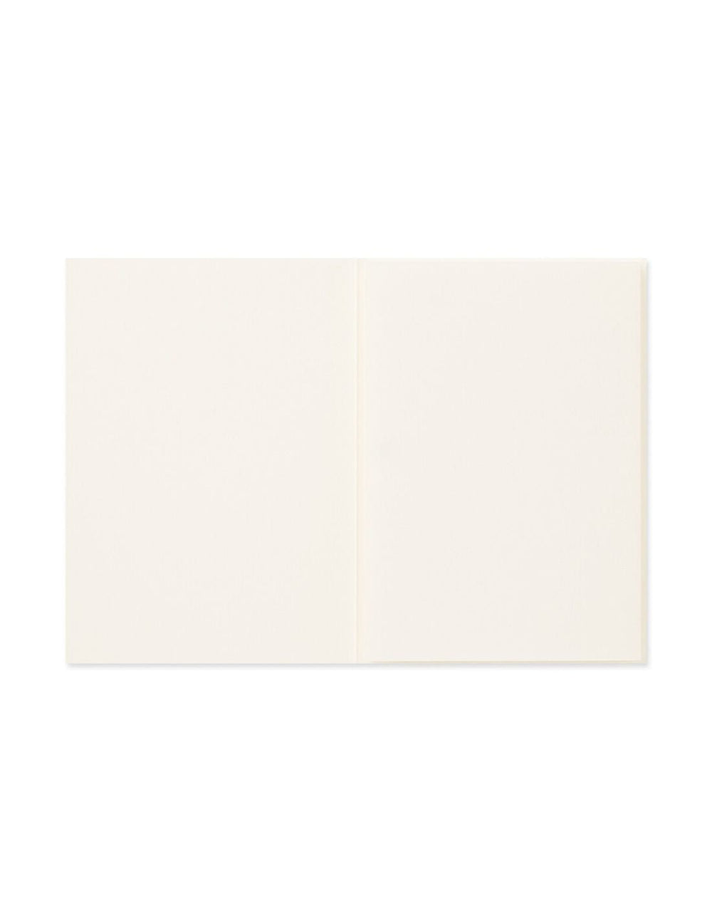 TRAVELER'S notebook 018 - carnet papier accordéon (passport size)